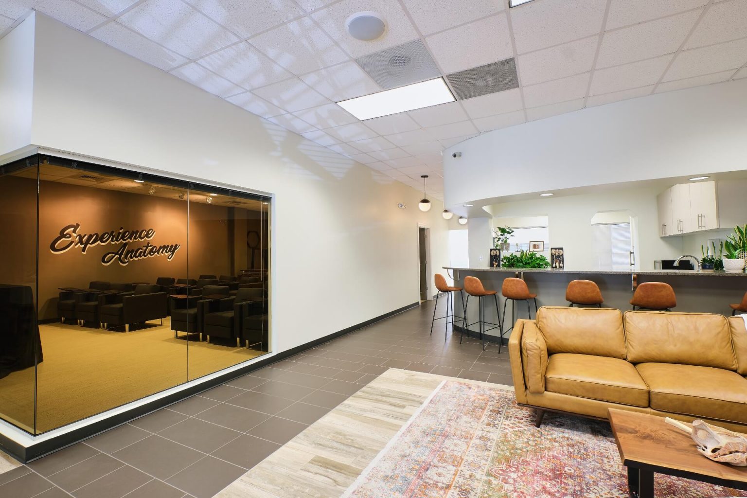 Anatomy Teaching Resources for Educators | Experience Anatomy