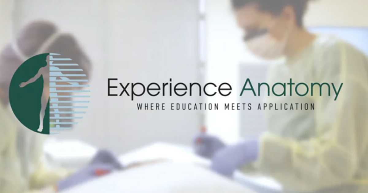Anatomical Cadaver Dissection » Experience Anatomy