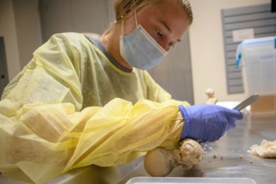 Dissection Club - Experience Anatomy