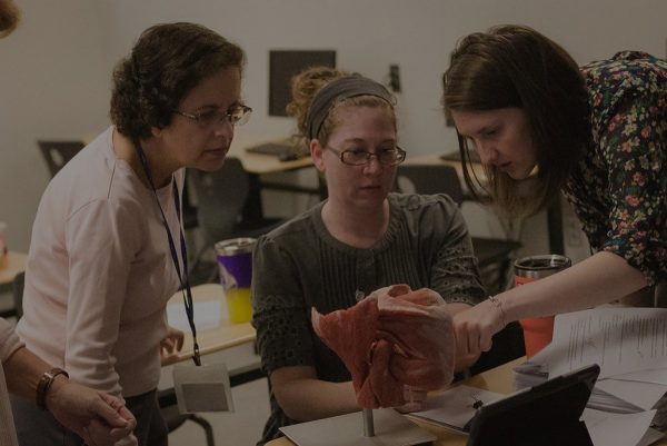 Anatomical Cadaver Dissection » Experience Anatomy