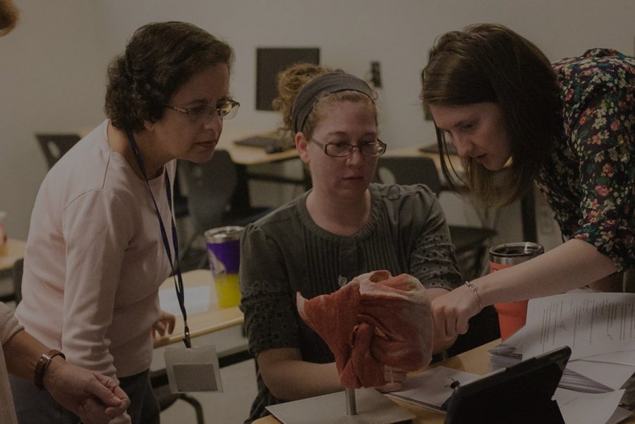 Anatomical Cadaver Dissection » Experience Anatomy