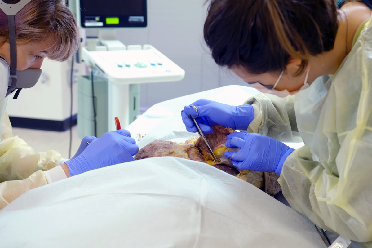 Lab Facilities - Experience Anatomy