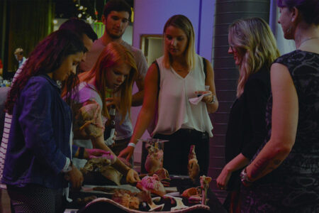 Anatomical Cadaver Dissection » Experience Anatomy