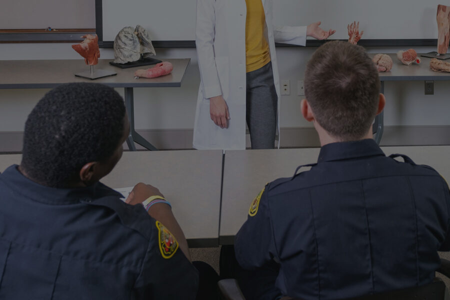 Anatomical Cadaver Dissection » Experience Anatomy