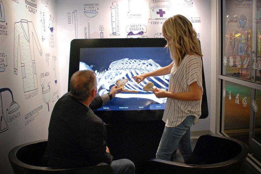 Digital Anatomy - Experience Anatomy