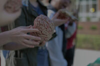 Anatomical Cadaver Dissection » Experience Anatomy